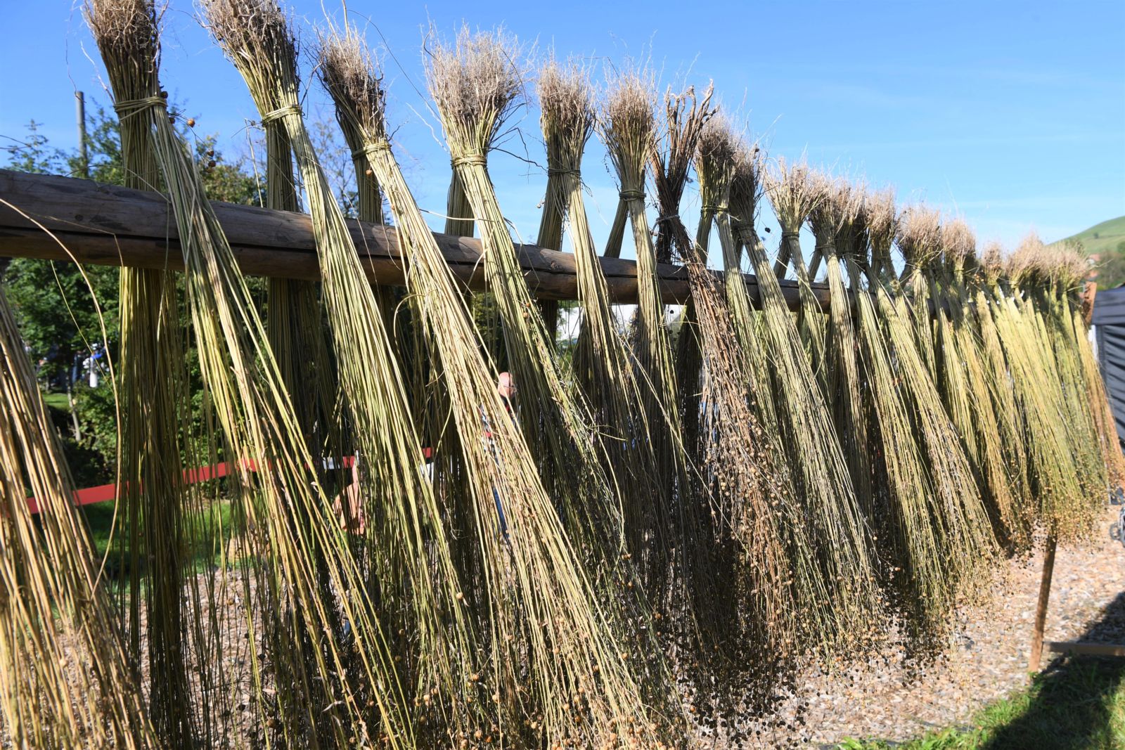Zäzwil: Zu Besuch an der Brächete